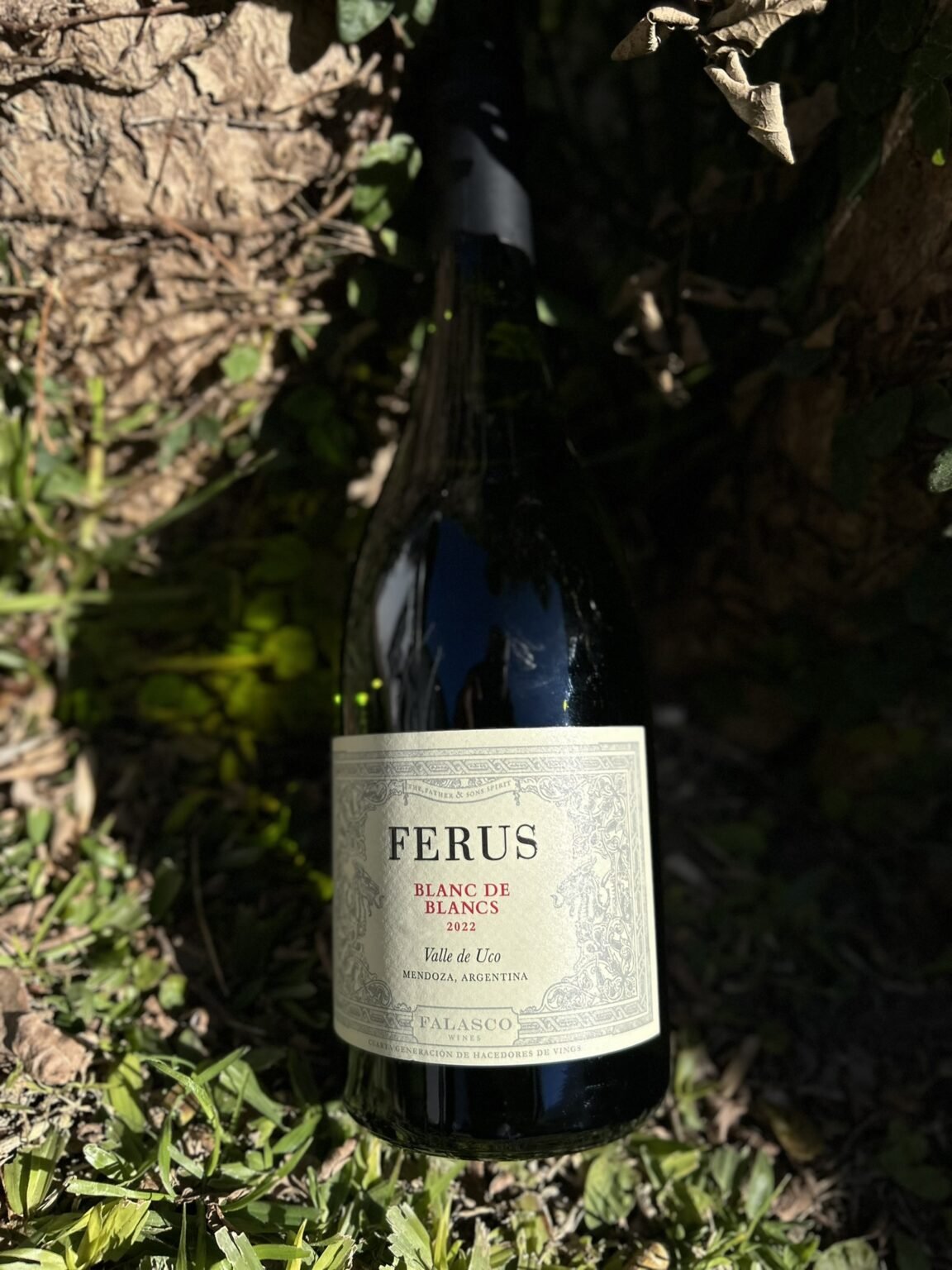 Ferus Blanc de Blancs | Blanco elegante y aromático